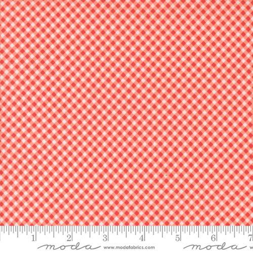 Raspberry Summer Gingham Checks and Plaids Carnation Red – Nebraska ...